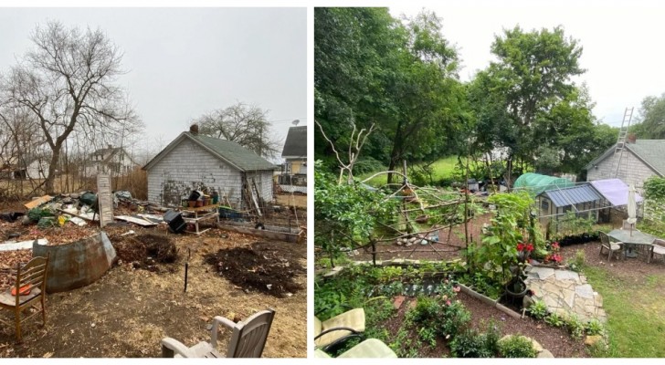 Amazing nature: be enthralled by these photos of incredible ...