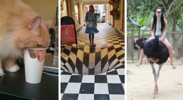 It's just a matter of perspective: 12 weird photos that will make you ...